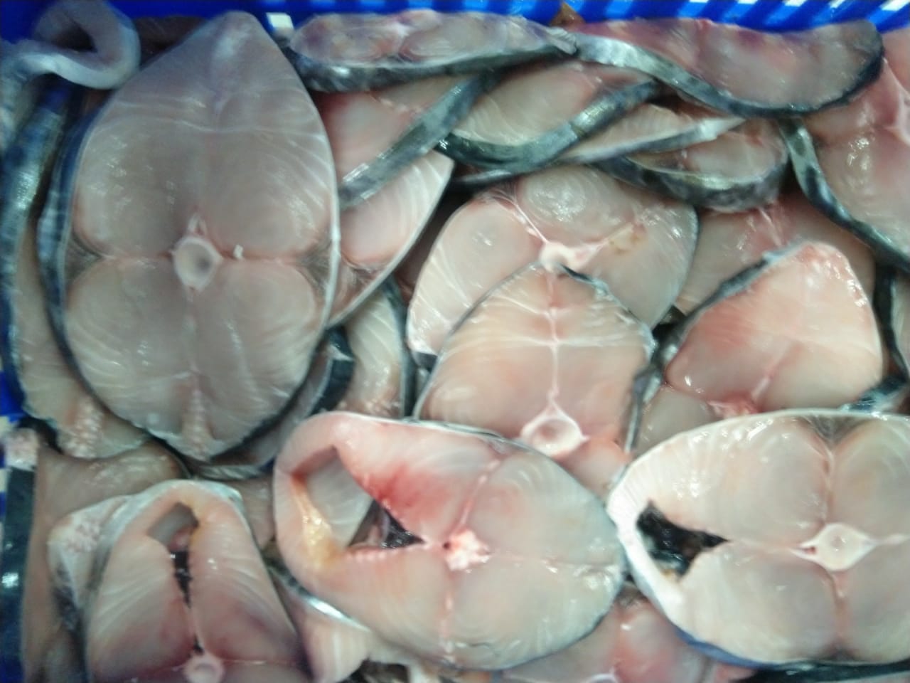 Vanjaram Fish