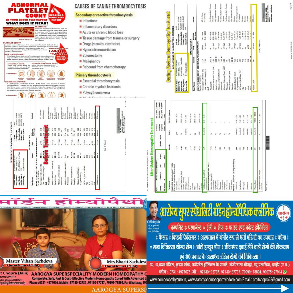 What Does High Platelets Mean In A Dog