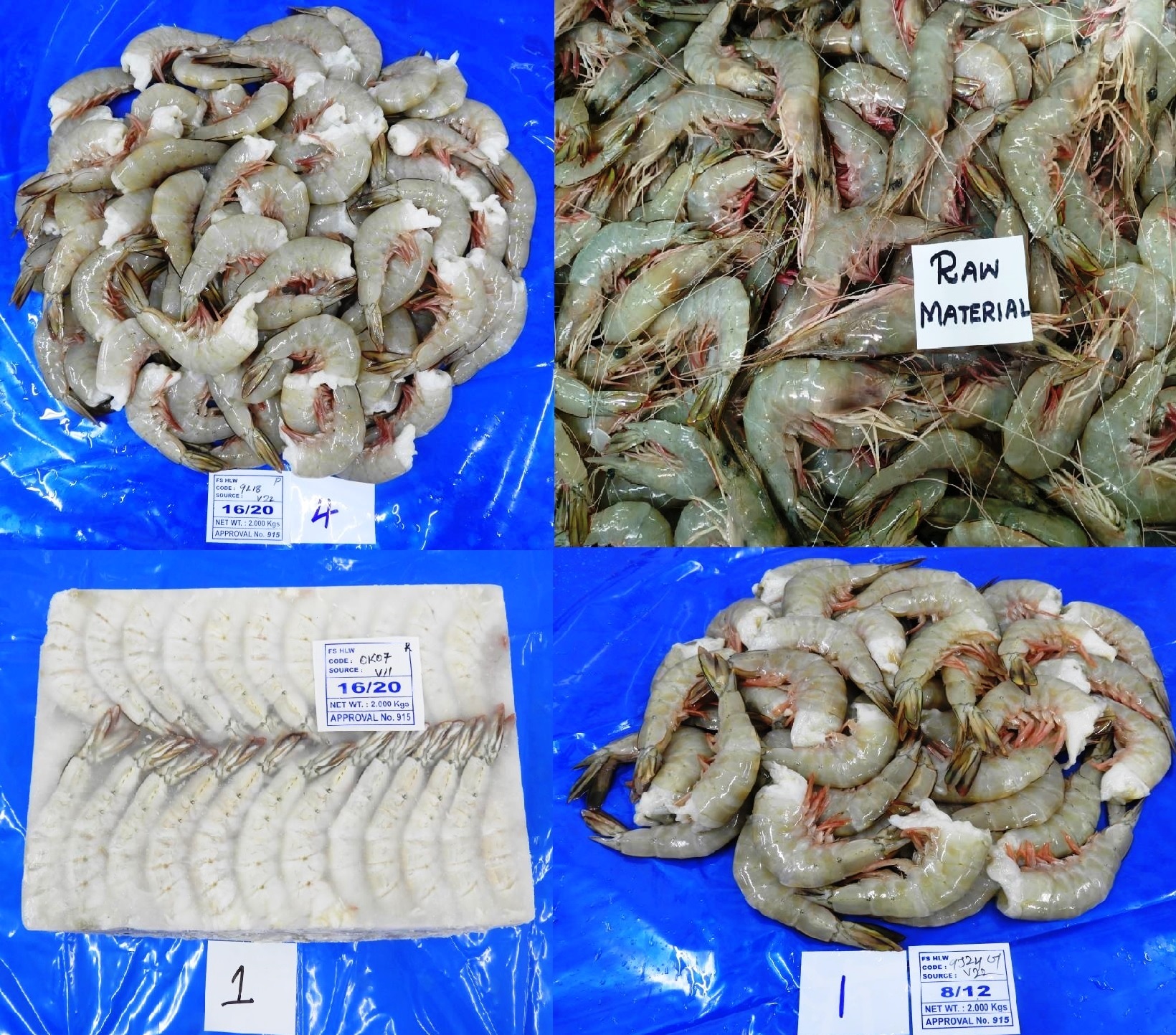 HEADLESS WHITE SHRIMPS & amp; PRAWNS (BLOCK FROZEN | K V Marine Exports