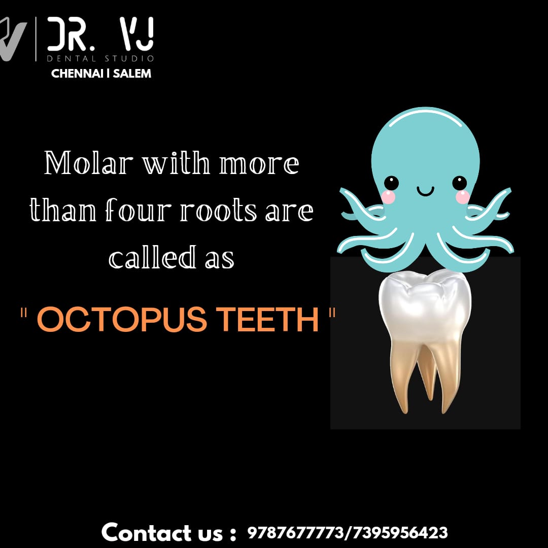 Octopus Teeth