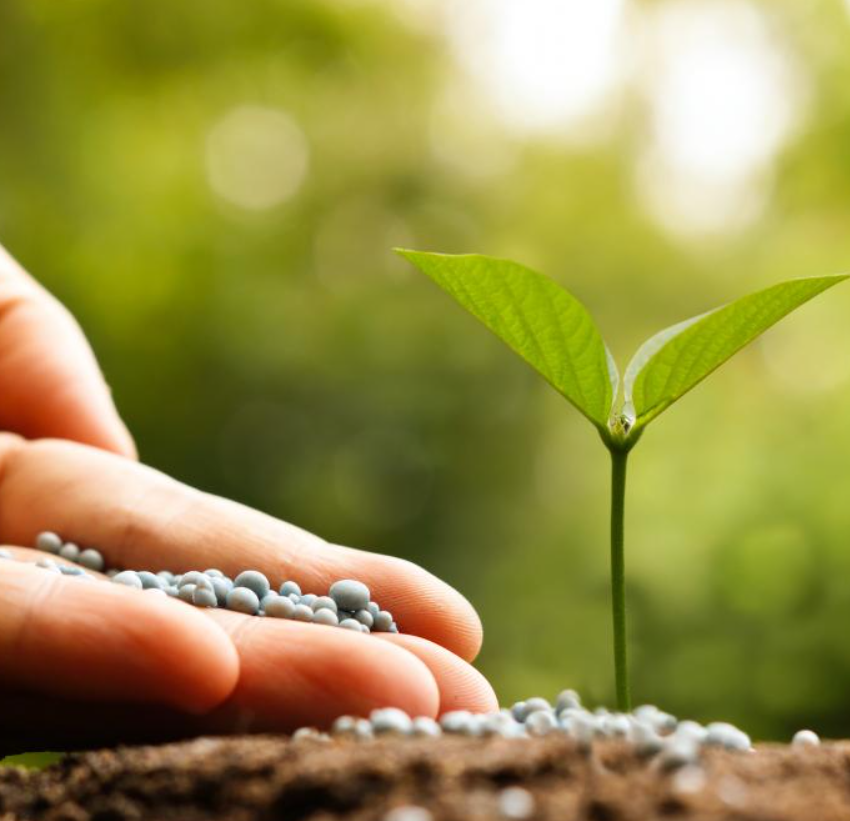 Unlocking the Potential of Organic Crop Nutrition | KIBBUTZ ORGANIC AND ...