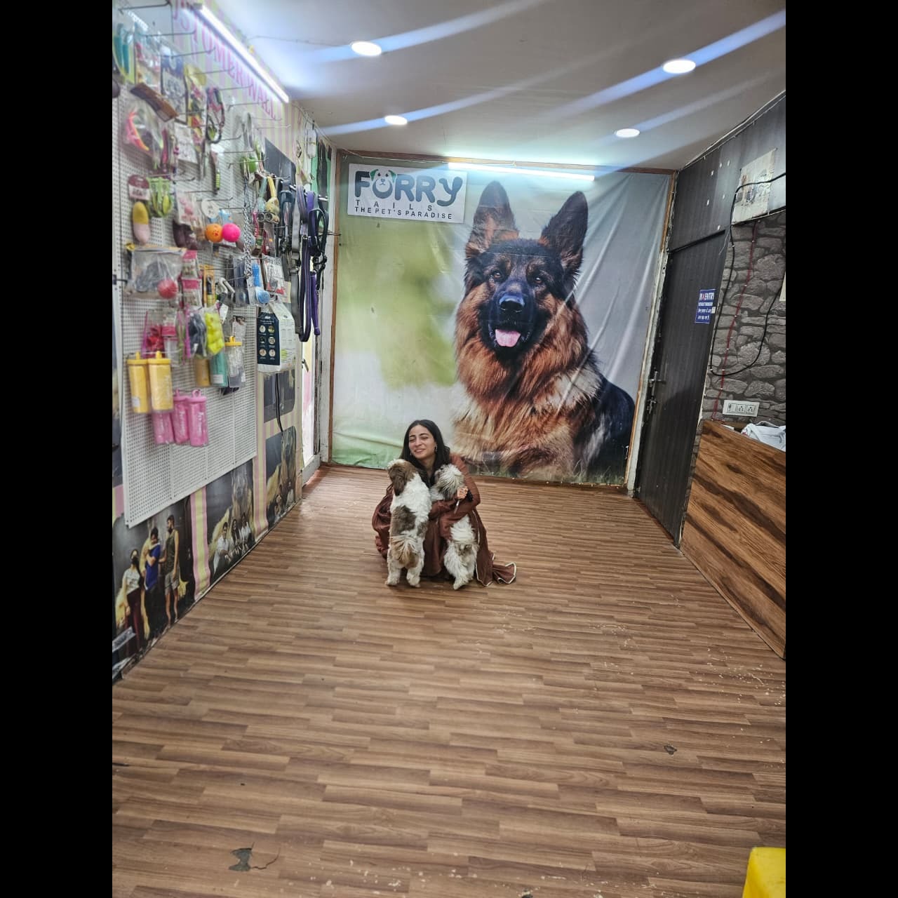 best dog boarding for shih tzu in noida | Furry Tails - Noida