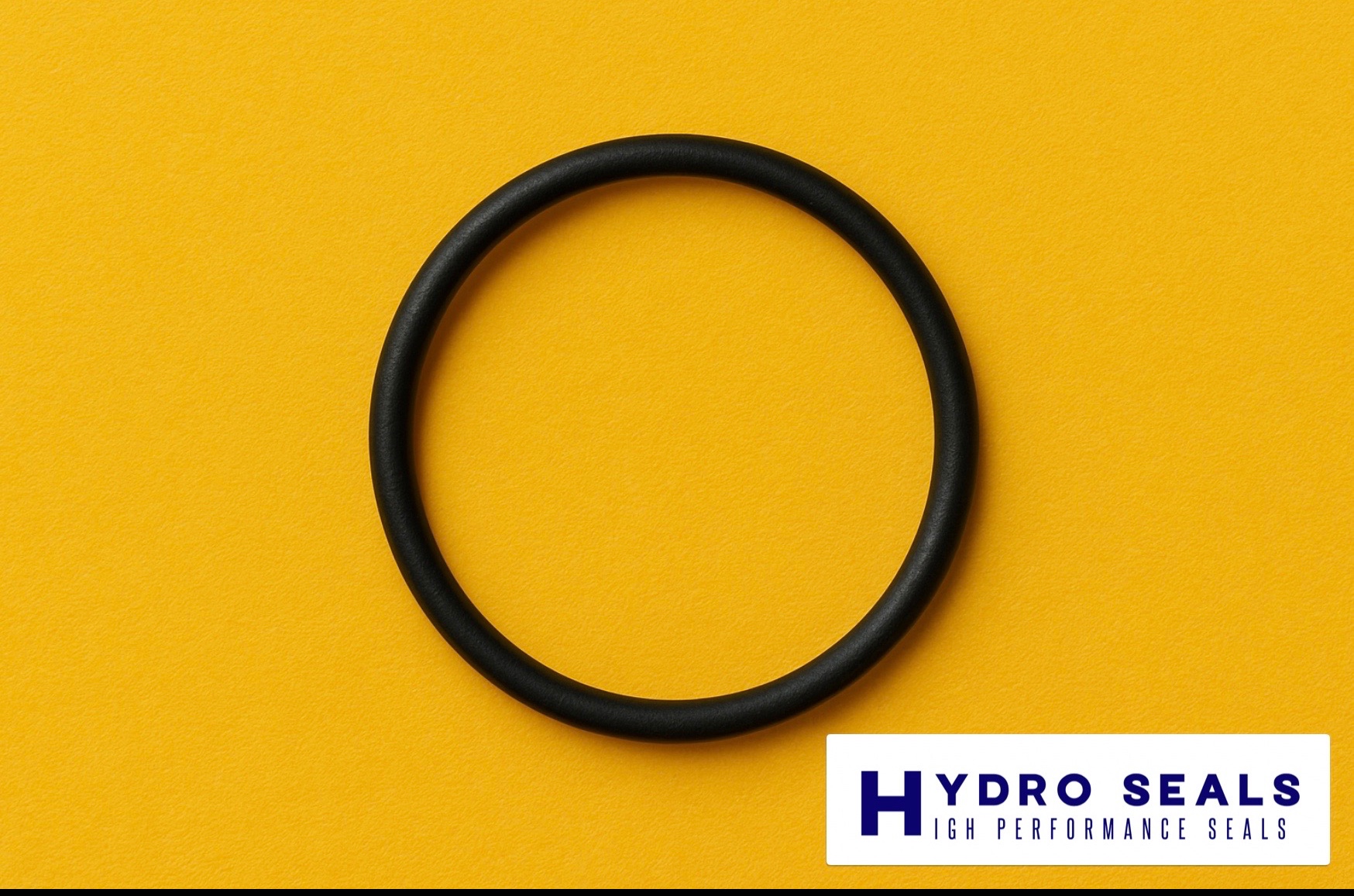 Mumbai – FFKM / Kalrez O-Rings Supplier | Hydro Seals India - Chennai