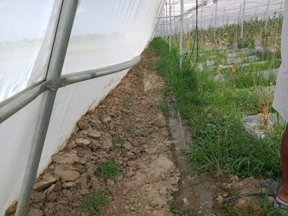 apron manufacturer in vadodara | Sona Agrotex pvt ltd - Vadodara