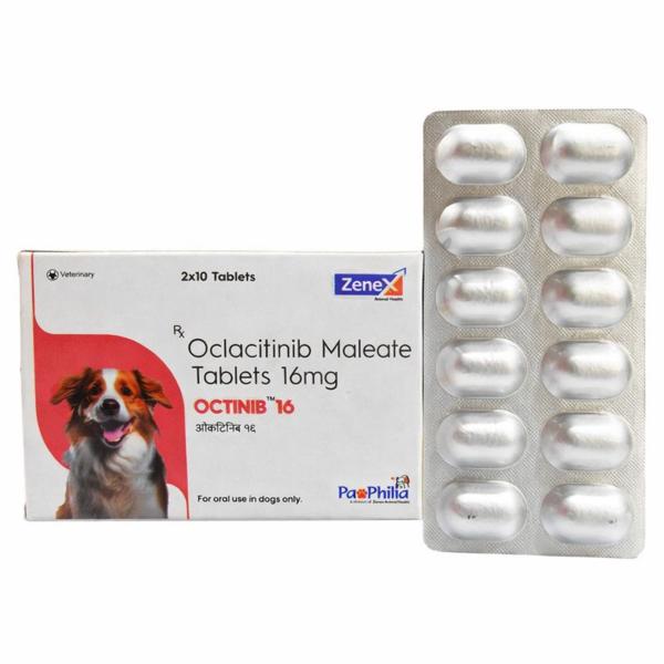 Janus Kinase Inhibitor Dogs