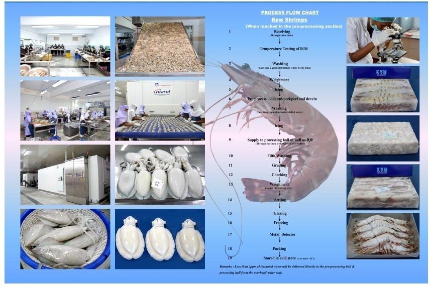 Kvm Processing Flow Chart K V Marine Exports Chennai