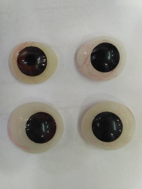 Artificial Eye Cost In I Custom Made Artificial Eye 9811081196 In artificial-eye-cost-in-i-custom-made-artificial-eye-9811081196-in