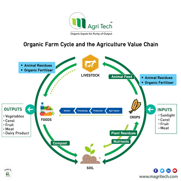 Organic Farm Cycle And The Agriculture Value Chain