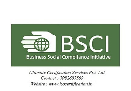 Bsci Logo
