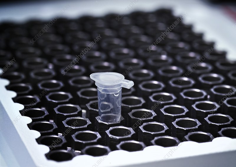 Dextrose Technologies provides, Incorporation & Re | Dextrose ...