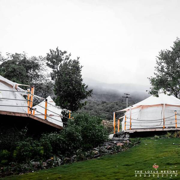 The Lotus Resort | LET’S GO GLAMPING!The Lotus Resort is a premier ...