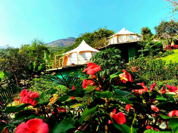 The Lotus Resort | LET’S GO GLAMPING!The Lotus Resort is a premier ...