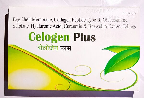 CELOSIA PHARMACEUTICAL PVT LTD in Chennai, India