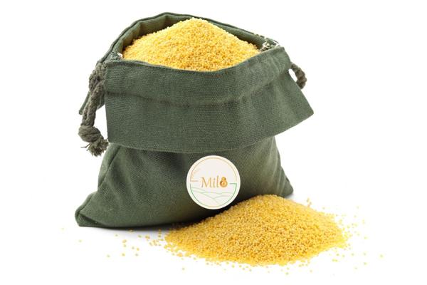 Millets by Mil8 in Coimbatore, India