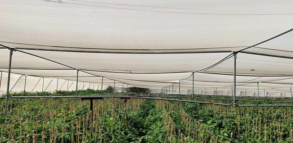Monofilament shade net manufacturer Sona agrote | Sona Agrotex pvt ltd ...