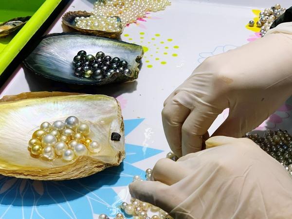 Pearl Masterbatch in Jaipur – Adding Elegance to Plastic Products ...