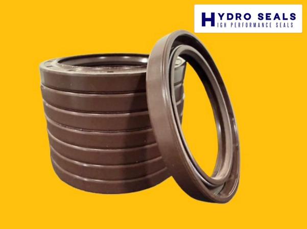 Hydro Seals supplies high-performance Viton (FKM) Oil Seals in Pune ...